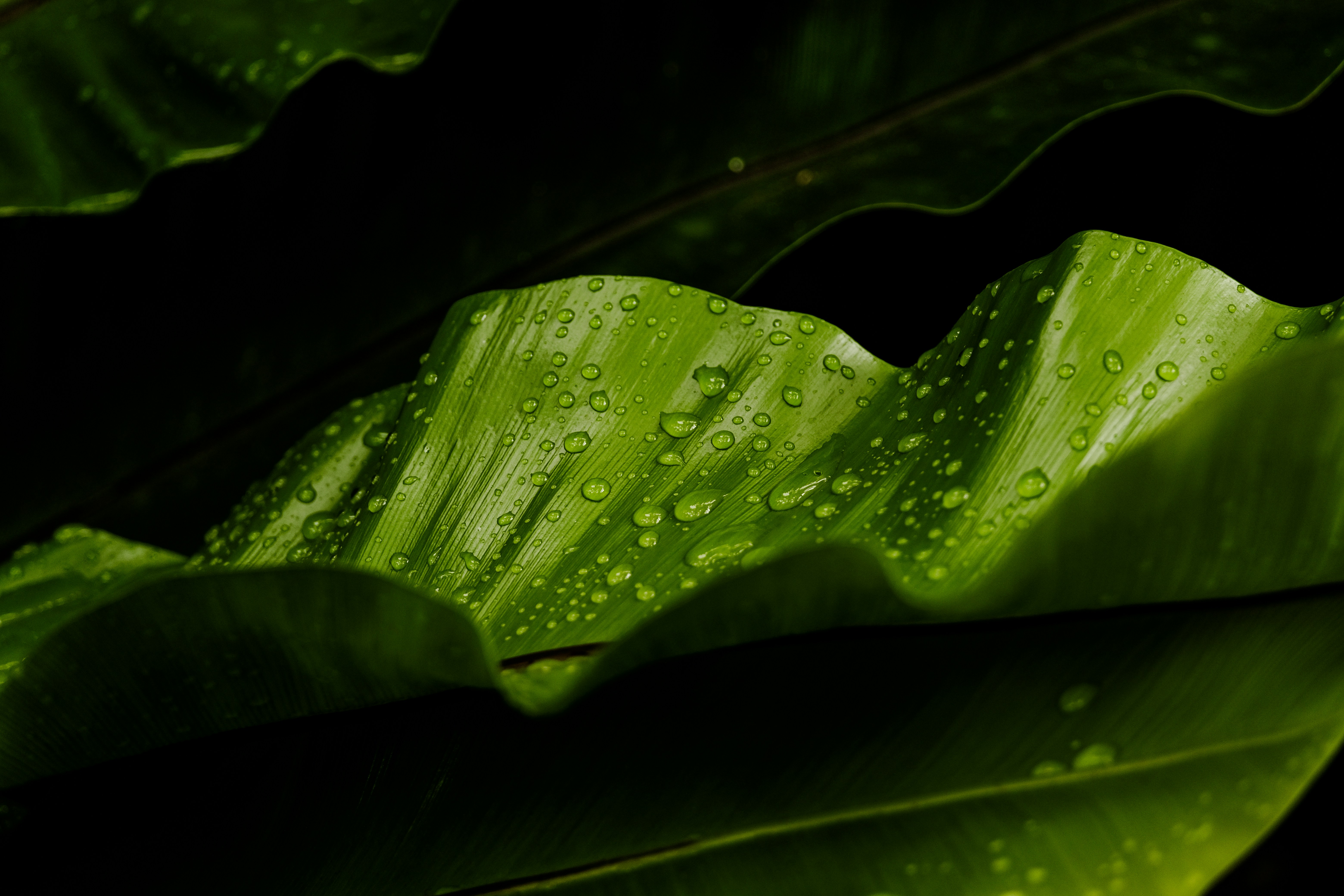 Sustainability Commitments & 2025 Goals | FIRST